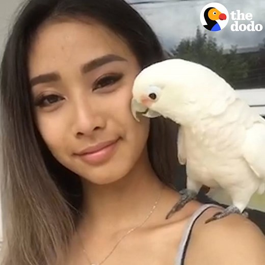 This rescued cockatoo loves sunbathing and dancing with his mom 👯❤️ | The Dodo