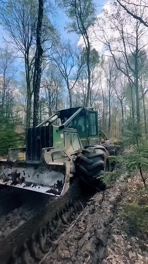Bad Boys 💀🌲 #tractor #forestfarming #farming #woodworking #logging #lumberjack | BHoward McDonald