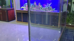 New Design Unique Fish Tank Home Large Glass Aquarium Online