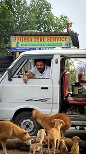 181K views · 165K reactions | Feeding Hungry and Homeless Dogs  Yes this is my Daily Work and I am proud of it. #dogs #stray #dailyfoodfeed #humanity #reels #instagood #respect #insta #love #serveneedy #hyderabad #responsibility #mywork | Serve Needy | Facebook
