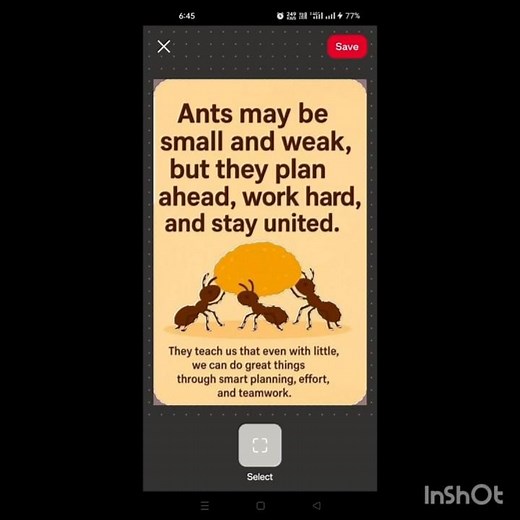 unity is strength #motivationalquotes #inspirationalquotes #motivation #quotes #english #inspiration