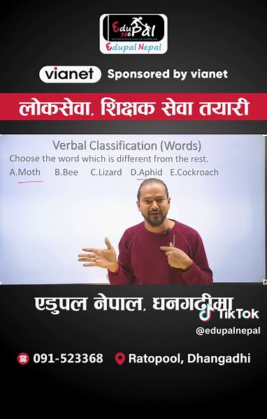 Verbal Classification IQ Tricks to Boost Your Skills