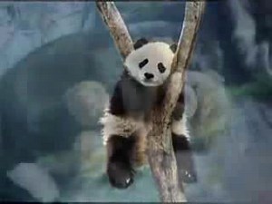 Goran Bregovic Lullaby