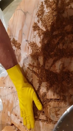 Burning Man 2023 has officially begun and we thought this is a good time to share Iyvone Khoo & Miguel Guzman’s “A Thousand Eyes and a Thousand Dreams” #BurningMan2022 installation, which included a trilobite-inspired mycelium throne made with GROW.bio GIY material 🍄 Their main challenge was to conceptualize, design and build something that would withstand 60 mph winds, fluctuations of desert temperatures and survive the interactions of Burning Man participants. They needed a material that was 