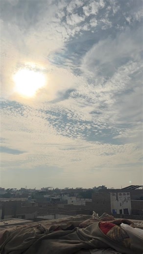 Discover Exciting Mini Vlog Insights in 4 Days