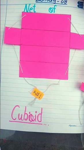 CBSE Board Class 7 Chapter 15 Visualising solid Shapes ✨✨ 📚 #### MADE BY SHAGUN