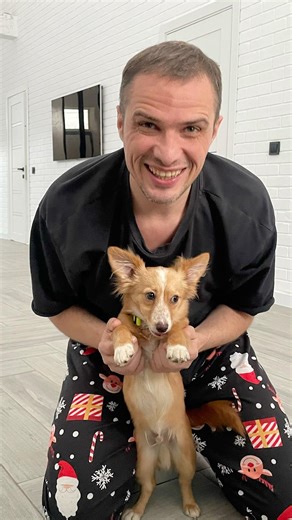 У нас счастье мы взяли малышок как вы думаете какая у него порода?