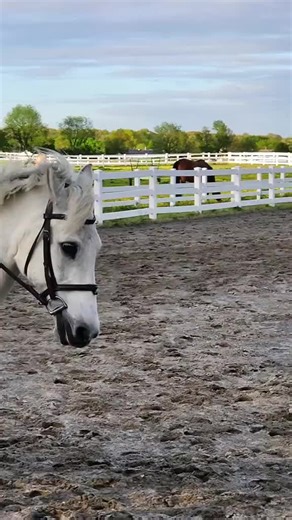 Riding lessons with Natalie. Year old video of first canter.
