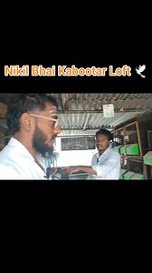 Nikhil Bhai Kabootar Loft Gulbarga Karnataka.. 💥🕊️🏆.. #kabootar #pigeons #FacebookPage #trendingpost #loft #india #vidioviral | Faizkhanpigeonslover