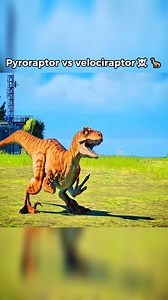 8.6K views · 89 reactions | Pyroraptor vs Velociraptor!練 #games #fypシ゚ #JurassicWorldEvolution2 #velociraptor #Dinosaur | RespeedBr | Facebook