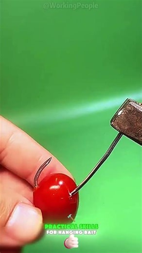 Practical skills for hanging bait on fishhooks 🎣🐟🧐