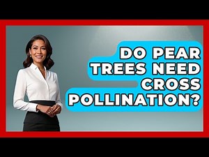 Do Pear Trees Need Cross Pollination? - Ecosystem Essentials