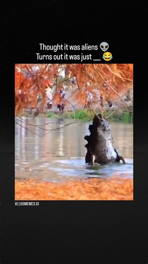 69memes on Instagram: "Thought it was aliens 👽 Turns out it was just ___ 😂 Mythological & Religious Contexts Hebrew Bible: Appears in Job, Psalms, and Isaiah as a primeval sea creature, often multiheaded, representing untamed chaos that God controls. Talmud: Created by God on the fifth day, it's kept as a single male to prevent its destructive procreation and will be food for the righteous in the future. Comparative Mythology: Similar to Canaanite Lotan, Sumerian Tiamat, and Norse Jörmungandr.