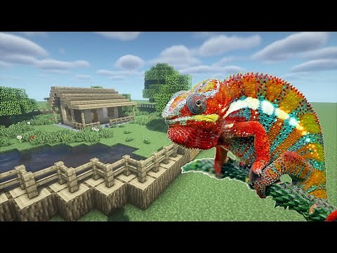 How To Make a Chameleon Farm in Minecraft PE