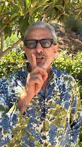Shhhh, I have a secret. Sign up to my mailing list to be the first to know what’s happening. Sign-up: https://bio.to/JeffGoldblumFP | Jeff Goldblum
