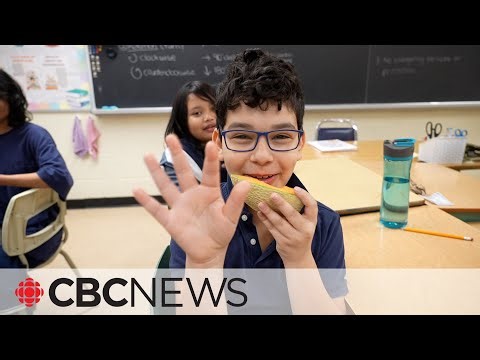 A look at a Toronto school food program as feds announce $1B plan