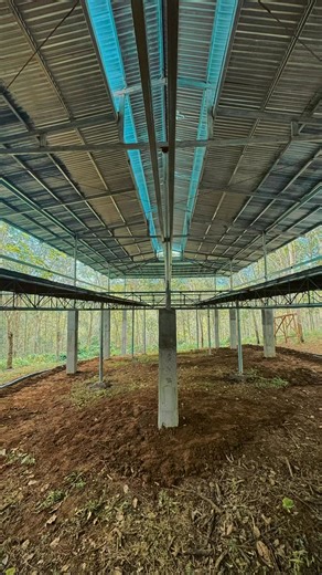 69K views · 664 reactions | ATM Finally 3,072heads Ready for installation of cages & rtl soon. Lay the Foundation for Better Eggs – We Build Egg-ceptional Housing for Egg-ceptional Production! Ask us how, ask us now! For inquiries: 09197527838 09755196890 | Mindanao RTL Chicken Package | Facebook