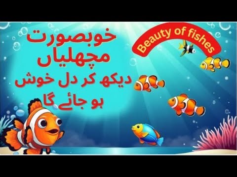 Beautiful Aquarium Fish Photo Slideshow | Relaxing Underwater View 🐠✨ #RelaxWithFishes