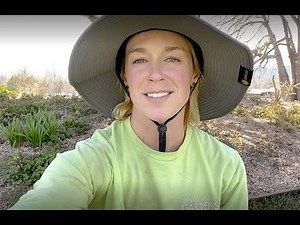 How to Bare Root Plants (Waterwise Perennials + Native Plants)