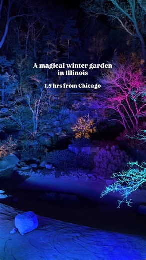 Shruti & Karan | Midwest Travel + Things to do in Chicagoland on Instagram: "Illuminated is Anderson Gardens’ winter time lights experience, featuring lighting and thousands of white string lights woven throughout the landscape and canopy of the Garden. @andersonjapanesegardens 📍Rockford, IL 🗓️ Open from 5-8:30 pm till January 4 🎟️ $15 admission for adults, Free for 5 and under 🍕Made-to-order Woodfire Pizza and a rotating schedule of food trucks available nightly. Fireside dining and beverag