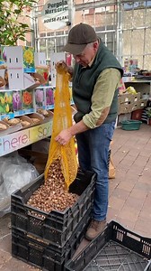 5000 Brave Snowdrops ready for planting . Dont be sorry in late winter and early spring when the first snowdrops start to appear that you did not plant enough! Plant time is from now ,available in webshop https://pergolanurseries.ecwid.com/ All Ireland delivery Pergola Nurseries Garden Corner Virginia,Co Cavan A gardeners oasis of quality plants Open Tues-Sat 10.30-6 Open Sun 2-6 #snowdropbulbs #flowerbulbs #snowdrops #snowdropseason #bravesnowdrops | Pergola Nurseries Garden Corner