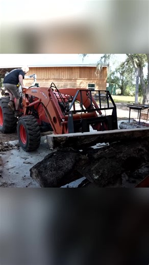 PART 3 : #asmr #woodworking #nature #wide #beautiful