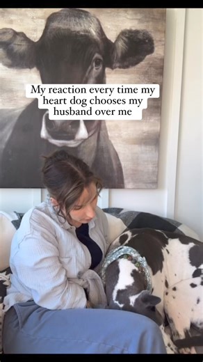 My reaction every time my dog chooses my husband over me. ( this is a joke! I never once raised my voice to Winnie. Her acting skills are just top notch 😂) | Danes And Things