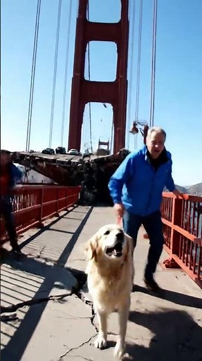 Golden Gate Bridge Collapse – When the Ground Gives Way