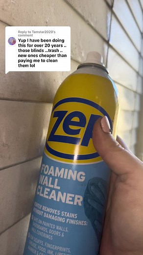 Cost-Effective Blind Restoration vs. Replacement: A Detailed Comparison