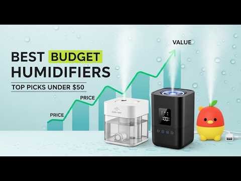 TOP 5 Best Budget Humidifiers 2026 | Large room humidifier
