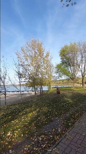 Zobnatičko jezero Bačka Topola Srbija 🇷🇸 novembar 2025. #putovanja#shortsfeed#shorts #jezero#lake