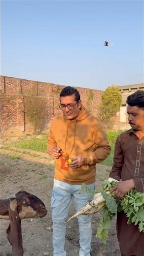 Lemon 🍋 #zkp #youtubeshorts #shortsvideo #short #viral #goat