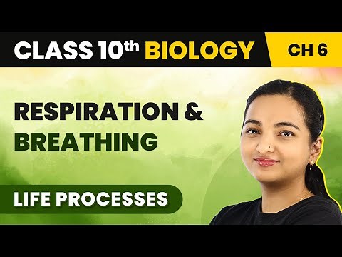 Class 10 Biology Chapter 6 | Respiration and Breathing - Life Processes