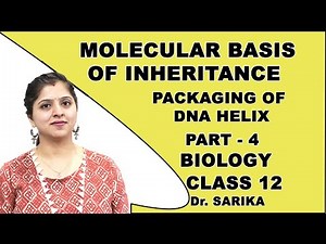 Molecular Basis Of Inheritance | Class 12 Biology | Packaging of DNA Helix | CBSE | NCERT