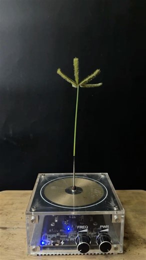 Tesla coil + Plants Part 5
