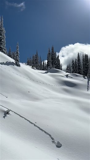 4.7K views · 995 reactions | Bring on the POW ️❄️️️拾 @mtntop.sb...