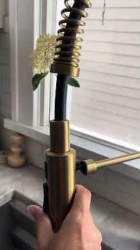 Kohler K 22973 2MB Crue Kitchen Sink Faucet, Pre Rinse Kitchen Faucet Review