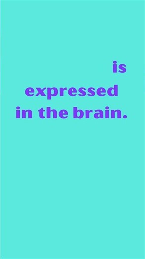KIAA2022 X Linked Intellectual Disability Gene