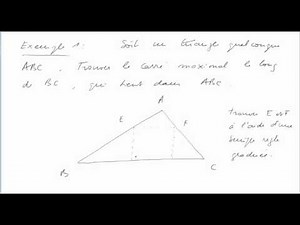 les conseils de George Polya