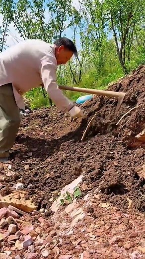 Digging Soil on a Hillside with a Hoe to Prepare the Ground for New Tree Planting