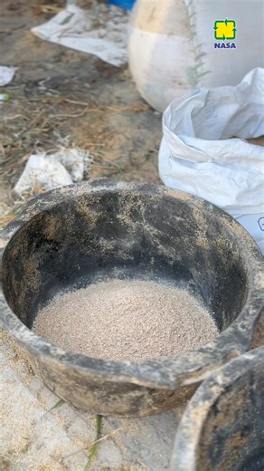 🐮TERNAK SAPI PEMULA HARUS TAU🐮 Siapa nih yang pengen ternak sapi tapi masih bingung caranya⁉️🤔 Kamu wajib simak video di atas yahh, biar tau gimana tips ternak bagi pemula🤩 Jangan sampai sudah banyak keluar modal tapi malah salah langkah yaaa, jadinya bukan untung tapi malah buntung 😱😱😱 #viternasapi #ternaksapi #tipspemula #nutrisisapi #bibitsapi #produkpeternakanNASA #PTNASA #ptnaturalnusantara #fyp #videoviral #viternanasa #ternakcerdas #peternaksapicerdas #peternaksapi | NASA Official