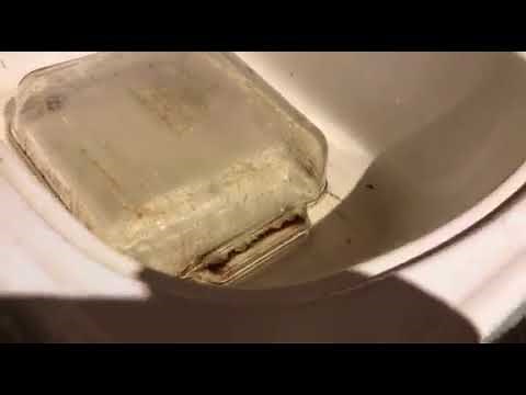 SuperClean on a Glass Baking Dish