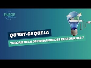 Qu’est-ce que la Théorie de la dépendance des ressources ?