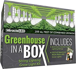 Miracle LED Greenhouse in a Box Grow Kit for Indoor Plants - Includes 4 Full Spectrum Daylight Wide Beam Grow Light Bulbs & One 4-Socket Corded Light Fixture (8-Pack - 8 Strings, 32 Bulb) (601610)
