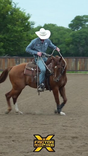 Softness is something we all try to achieve! Getting a horse soft straight on and in the bridle starts from left to right for horse training, Cole Matier. Cole has an entire training series over xfactorroping.com. Click the link in our bio to check it out! #watchlearnwin #earnit #teamroping #horsetraining