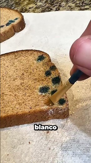 Este pan mohoso se puede comer sin peligro