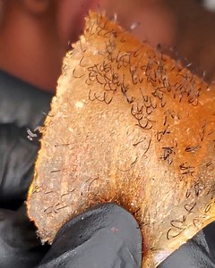 3.2M views · 3.9K reactions | Beard waxing compilation | MetDaan Makeup | Facebook