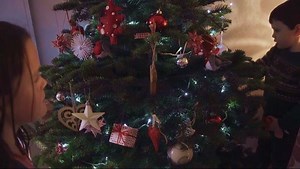 👉🎄VIND DIT JULETRÆ🎄👈 Fortæl os, hvem du plejer at pynte juletræ med, så er du med i lodtrækningen. Vi trækker 10 heldige på mandag kl. 13, som hver vinder ét juletræ fra BAUHAUS Danmark. | Forbrugsforeningen