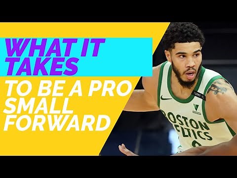 What It Takes To Be A Pro Basketball Small Forward (3 and D/Wing)!!!