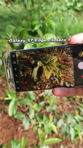 S7 Edge: The Smartphone That Changed Everything